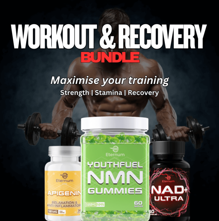 Workout & Recovery Bundle - Eternum Labs